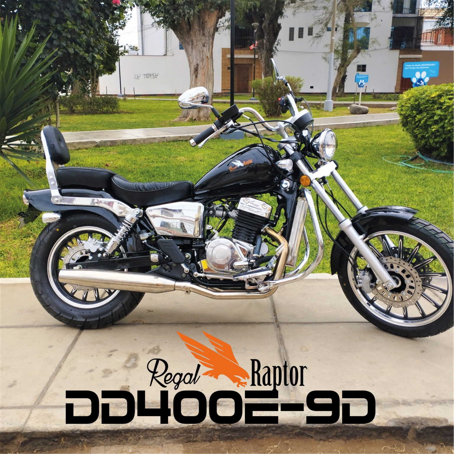 DD250-V EFI – Regalraptor
